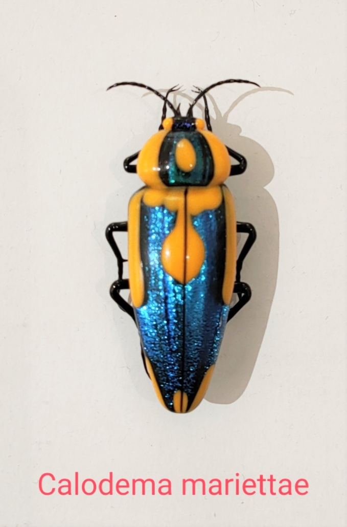 Emanuel Toffolo – Calodemas, Individual Beetles – Mostly Glass Gallery