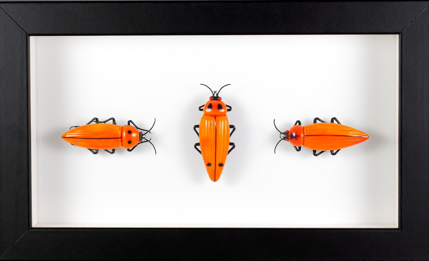 Emanuel Toffolo – Beetles Compositions, Small – Mostly Glass Gallery