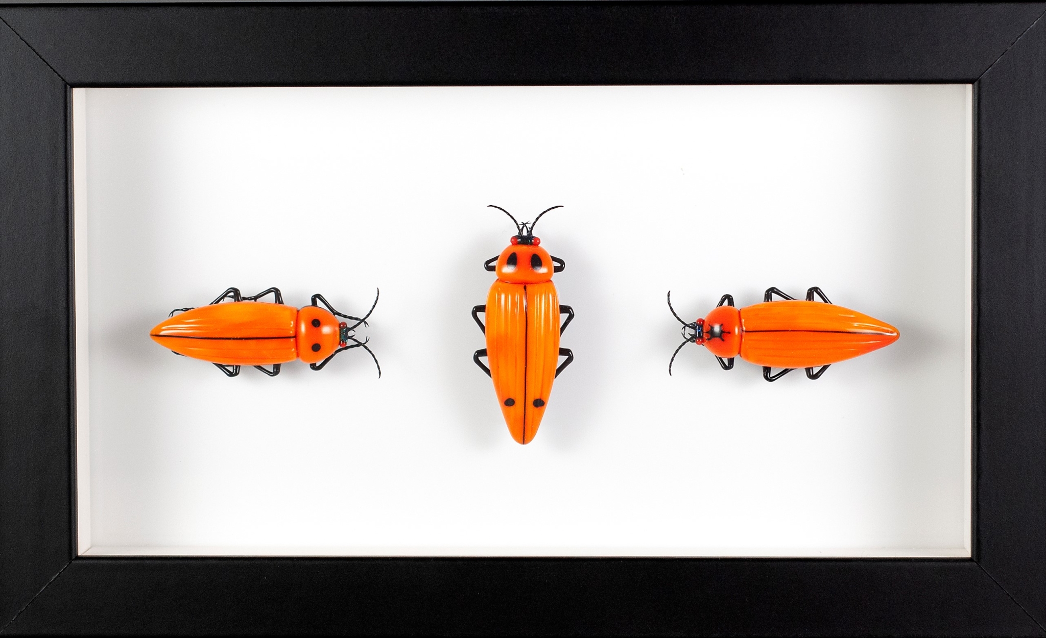 Emanuel Toffolo – Beetles Compositions, Small – Mostly Glass Gallery